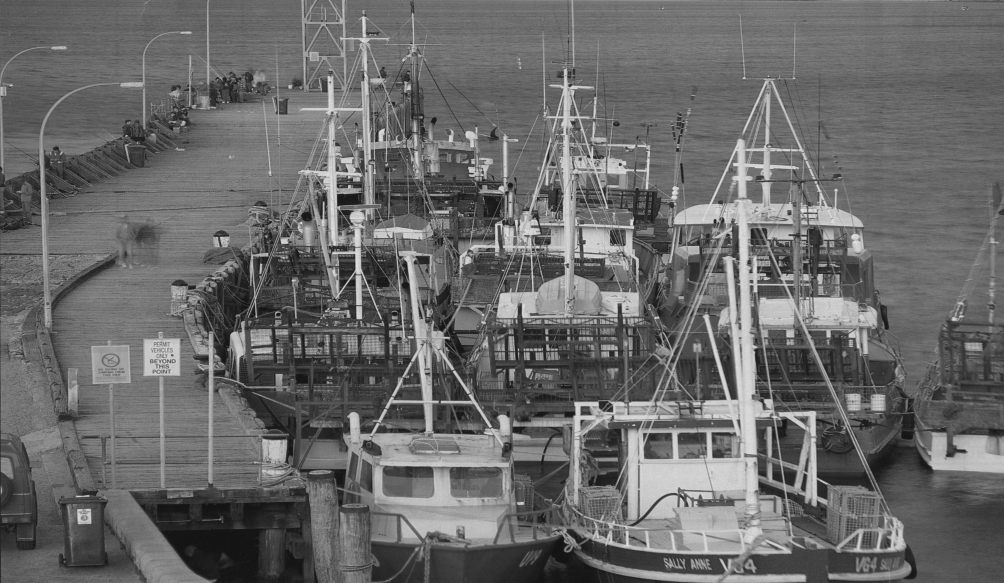 The Mornington Pier (part 2 - 20th Century) - Bay Fish N Trips